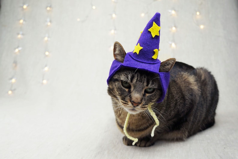 Wizard Hat for Cats Glow in the dark | Etsy