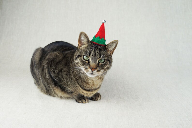 Elf Hat For Cats | Etsy