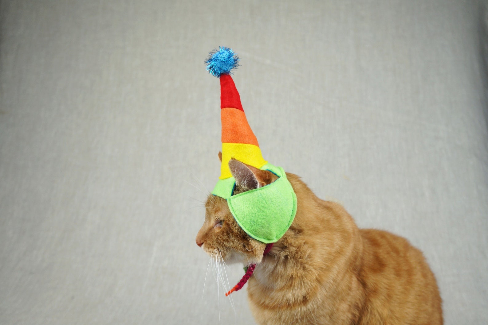 Rainbow Party Hat for Cats | Etsy