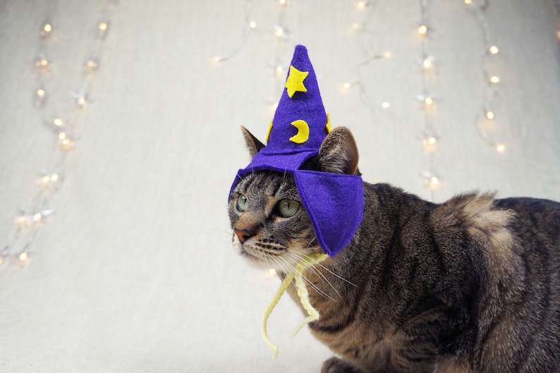 Wizard Hat for Cats Glow in the dark | Etsy