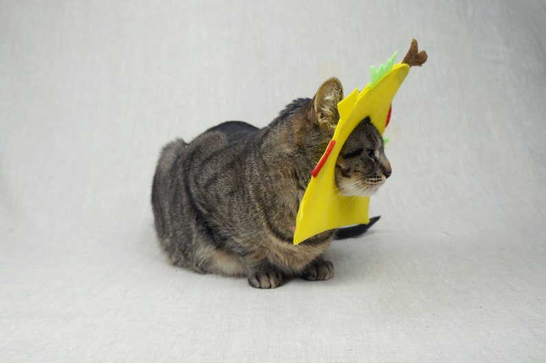 Taco Costume for Cats | Etsy