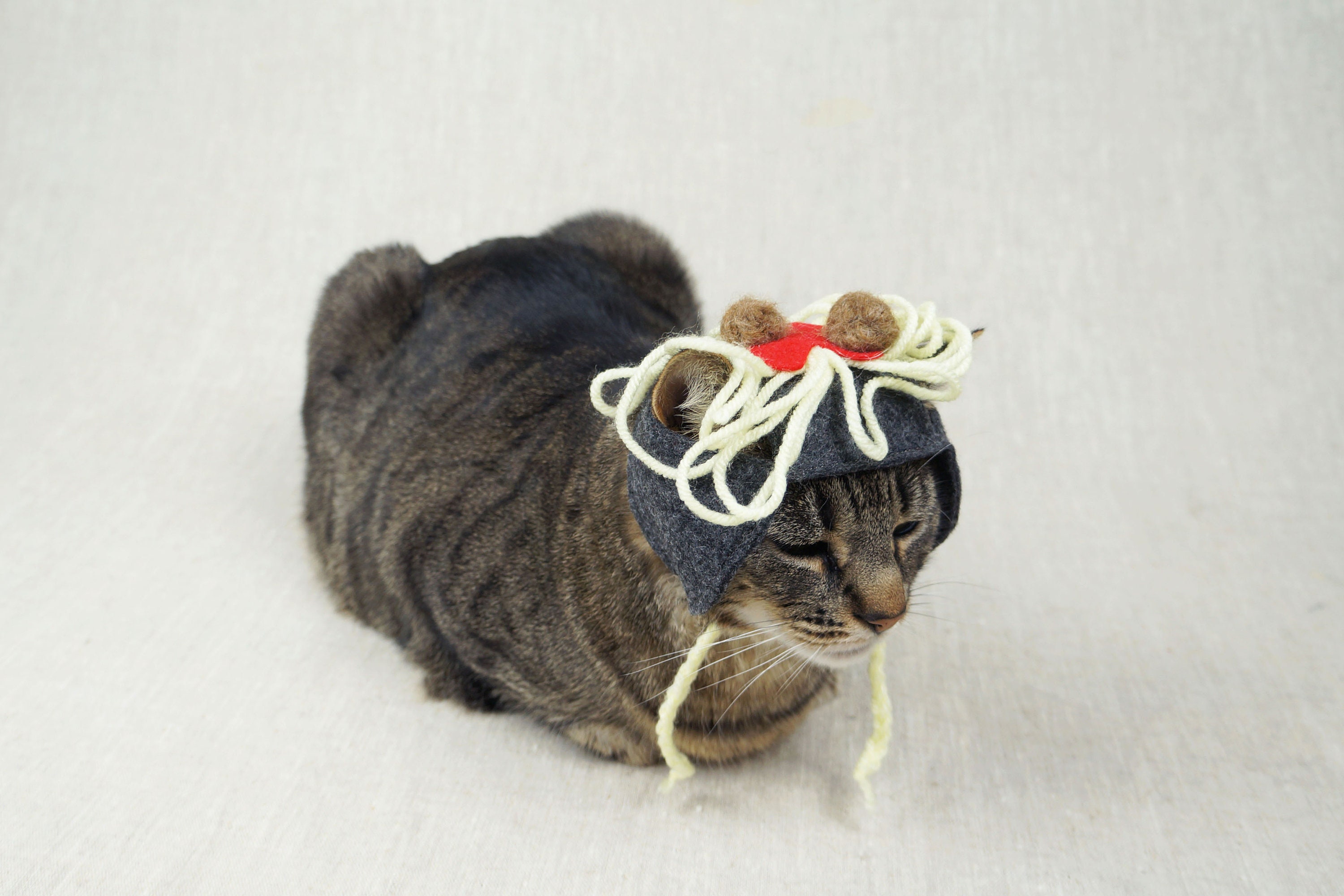 Spaghetti and Meatballs Hat for Cats - Etsy