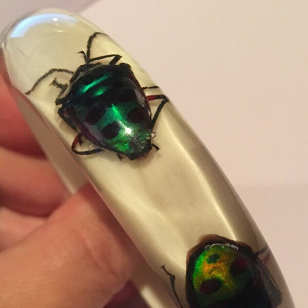 Insect Jewelry - Etsy UK