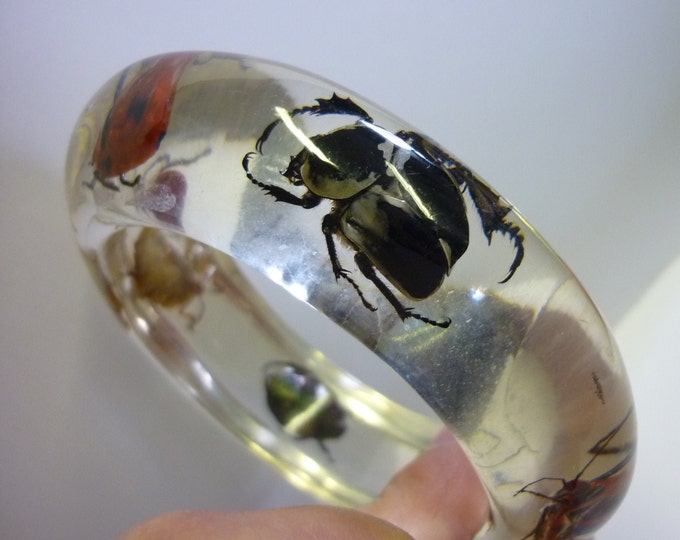 Vintage Insect Bangle, Insect Bracelet, Beetle Bangle, Lucite Bangle ...