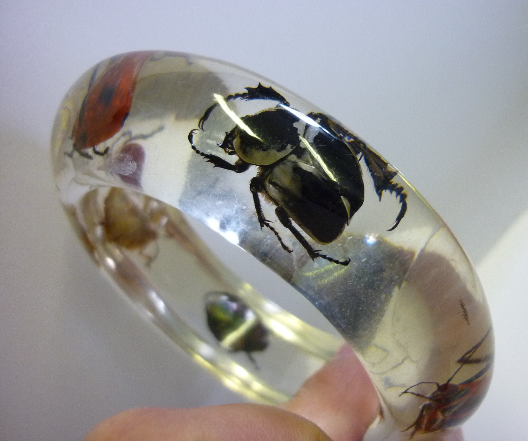 Vintage Insect Bangle, Insect bracelet, Beetle bangle, Lucite bangle ...