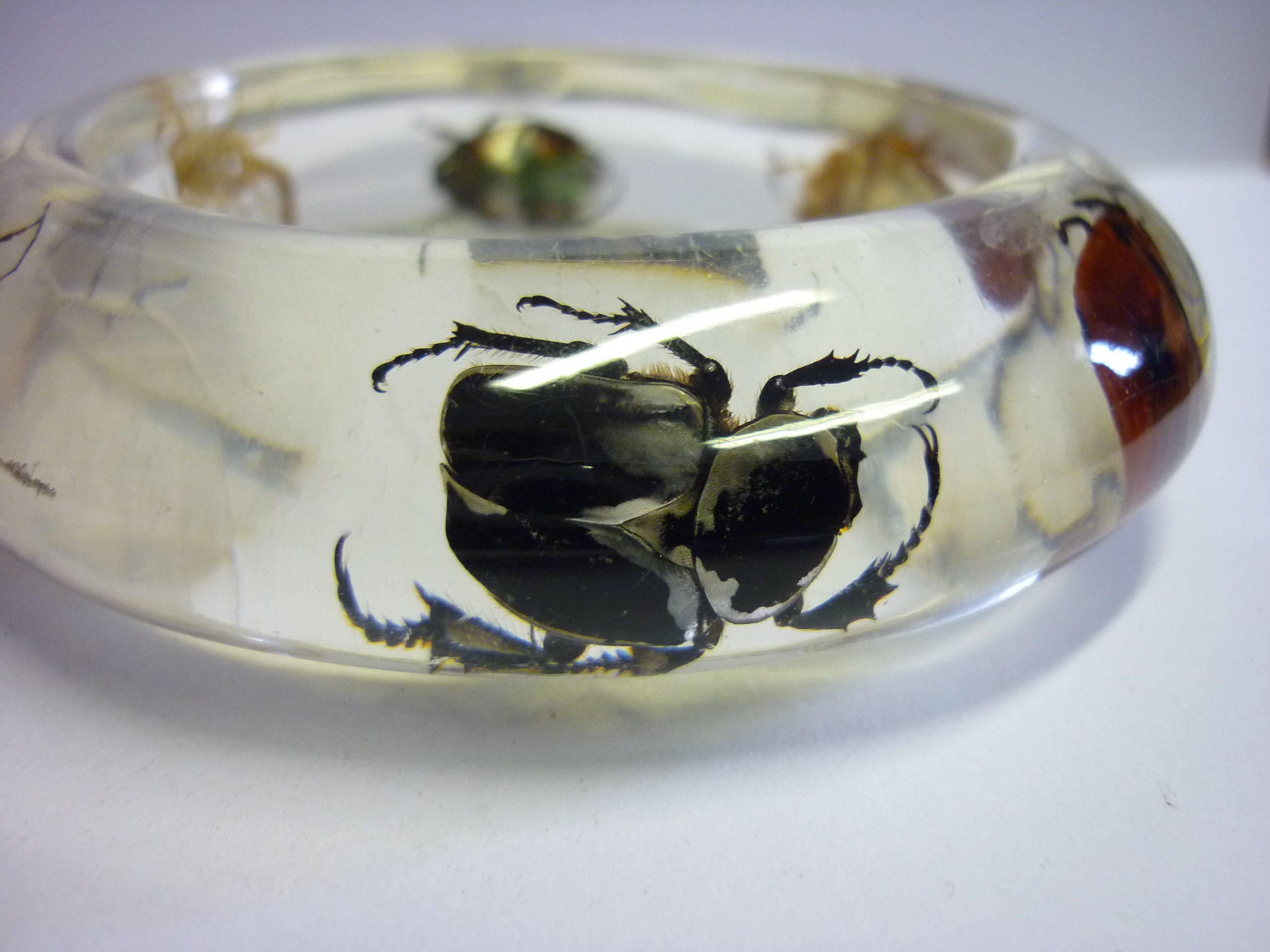 Vintage Insect Bangle, Insect bracelet, Beetle bangle, Lucite bangle ...