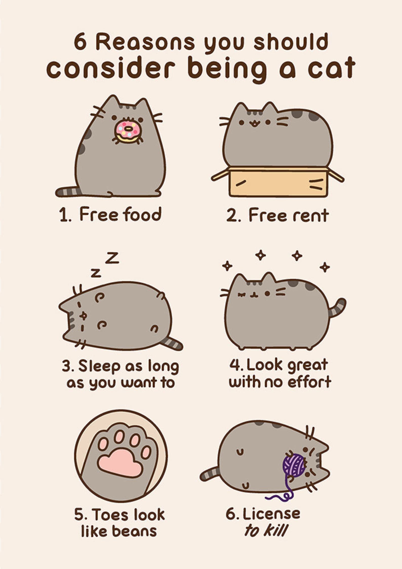 Pusheen the Cat Birthday / All Occasion Blank Card Guide to Selfies ...