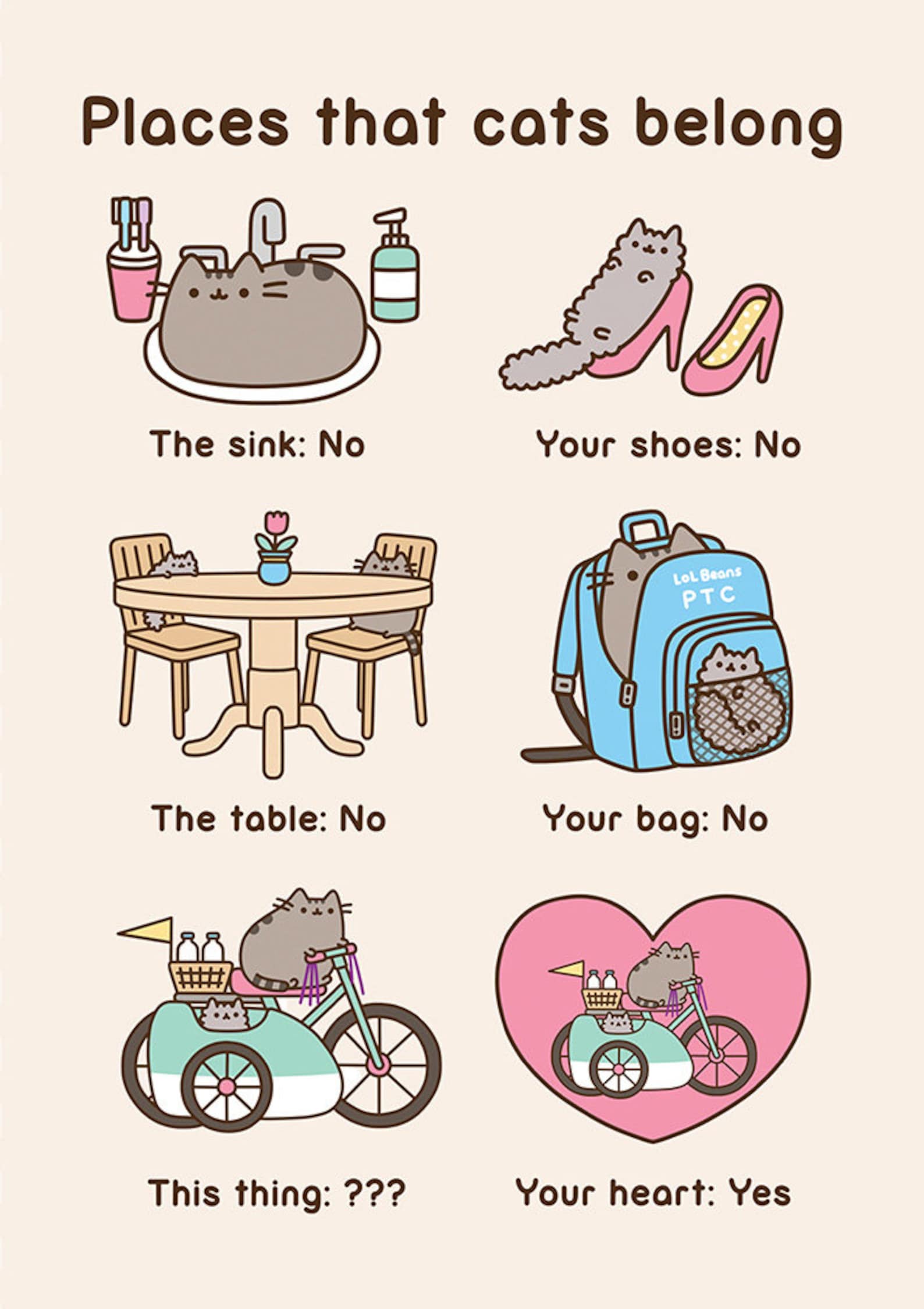Pusheen the Cat Birthday / All Occasion Blank Card Guide to Selfies ...