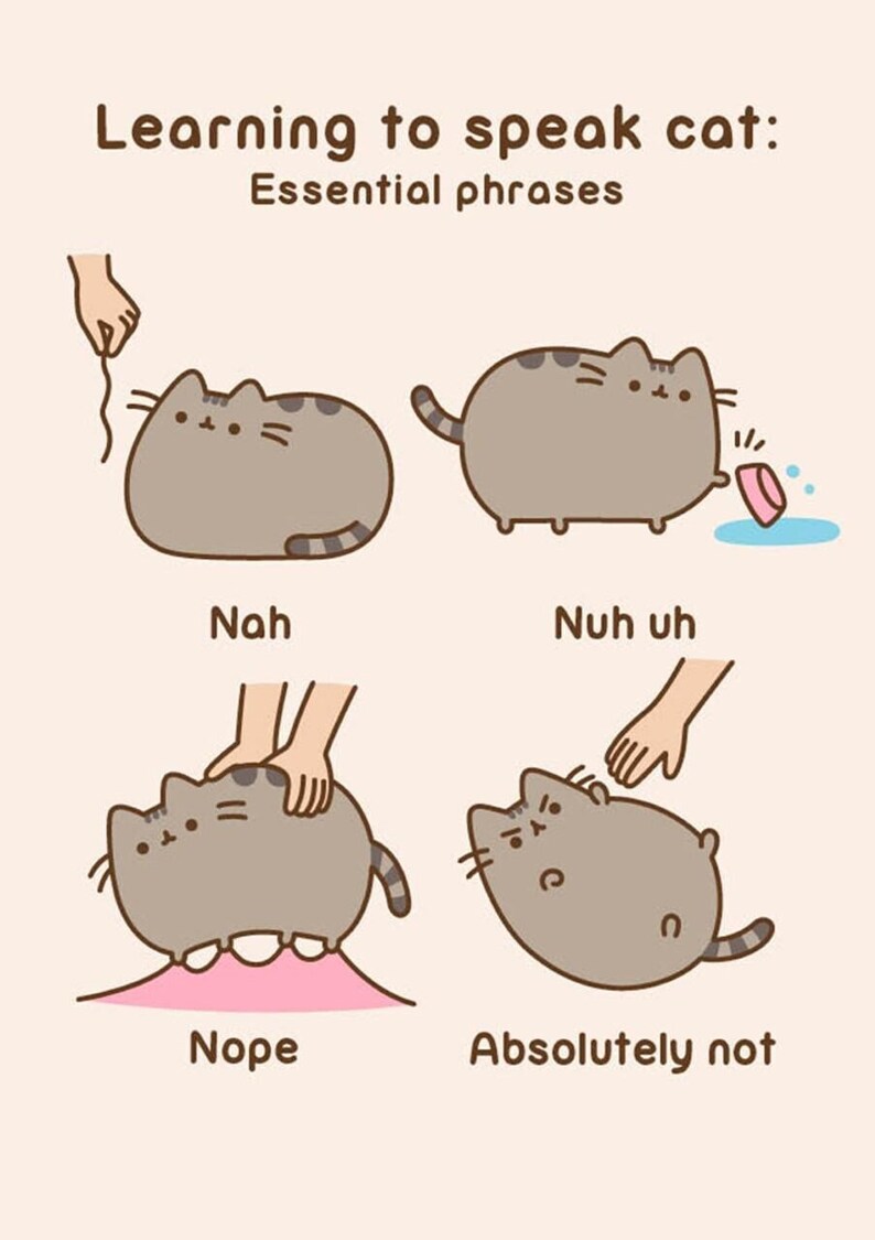 Pusheen the Cat - Birthday / All Occasion Blank Card - Guide to Selfies ...