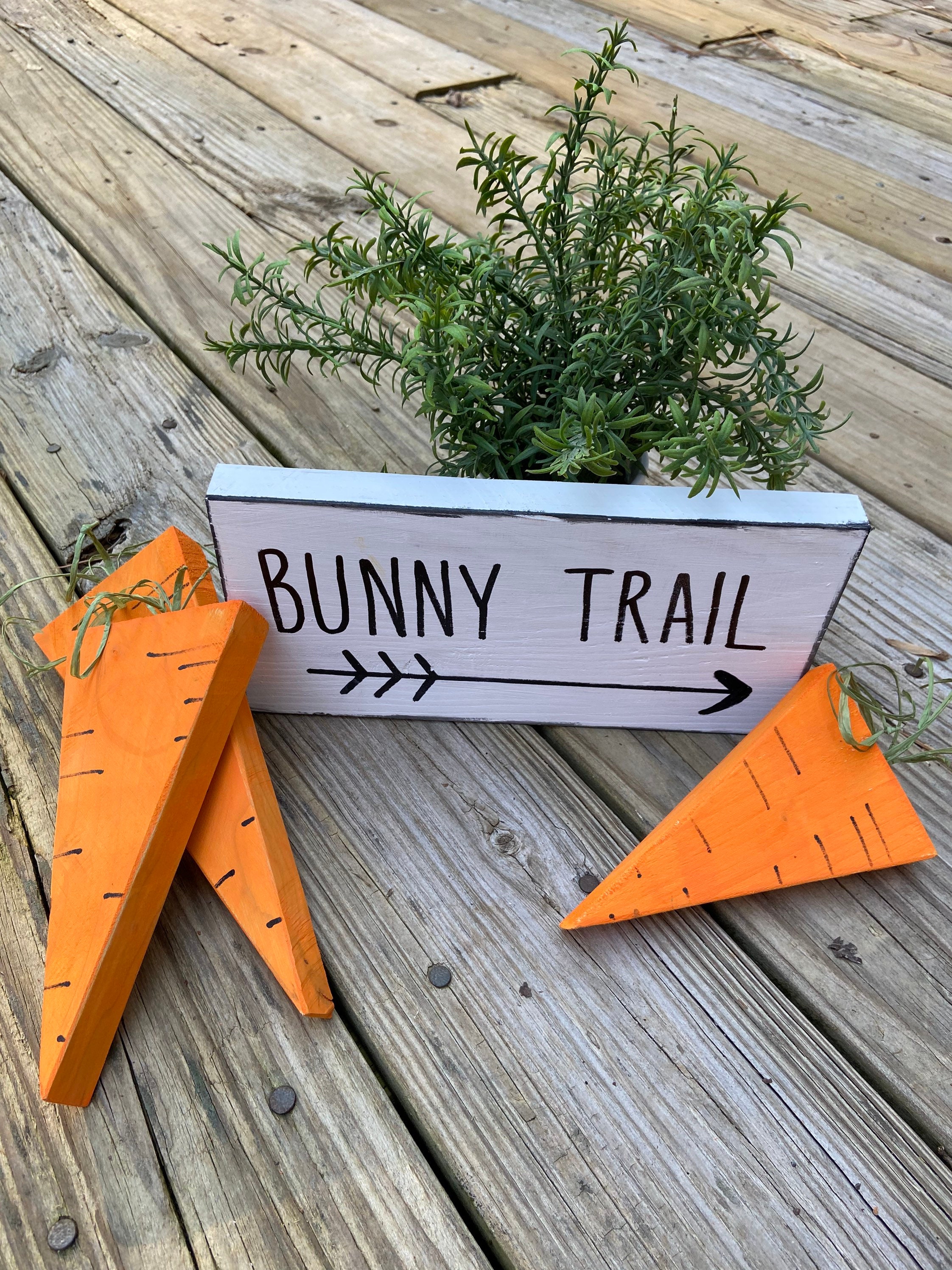 Easter Decor Bunny Trail Sign and 3 Wooden Carrots Spring - Etsy