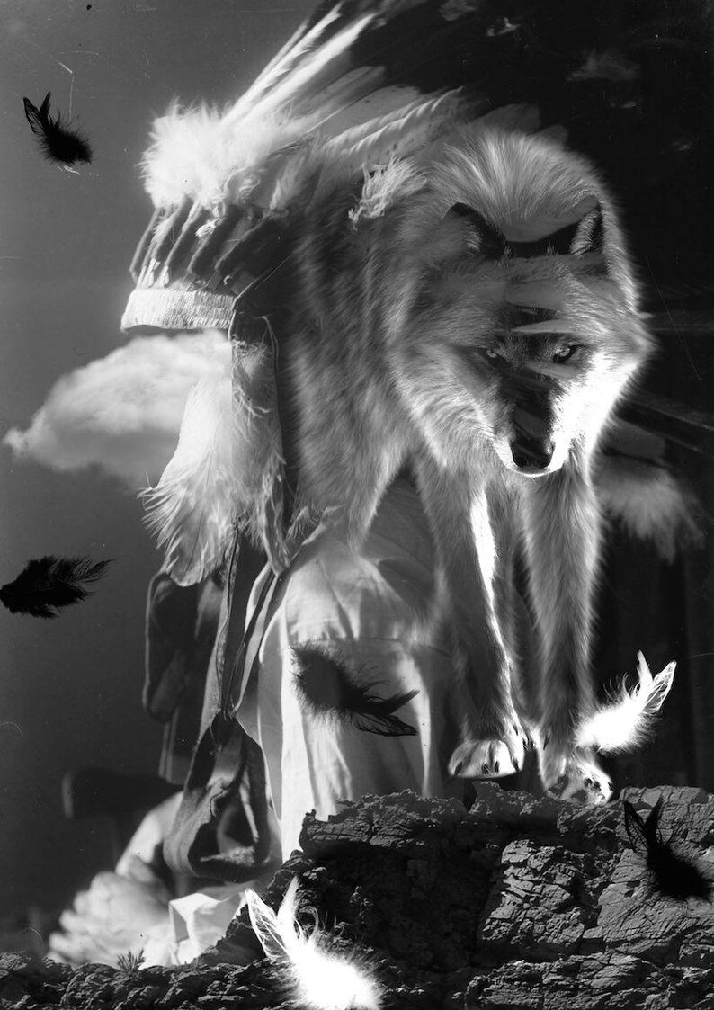 Wolf Print Art Surreal Art Black and White Art Wolf Art | Etsy