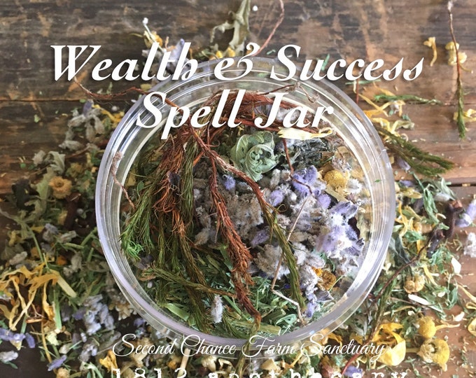 Spell Jar Wealth & Success, Wicca Witch Jar, Witchcraft, Green Witch ...