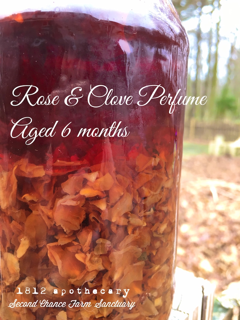 Rose & Clove Perfume, Historically Inspired Victorian Fragrance, Unisex ...