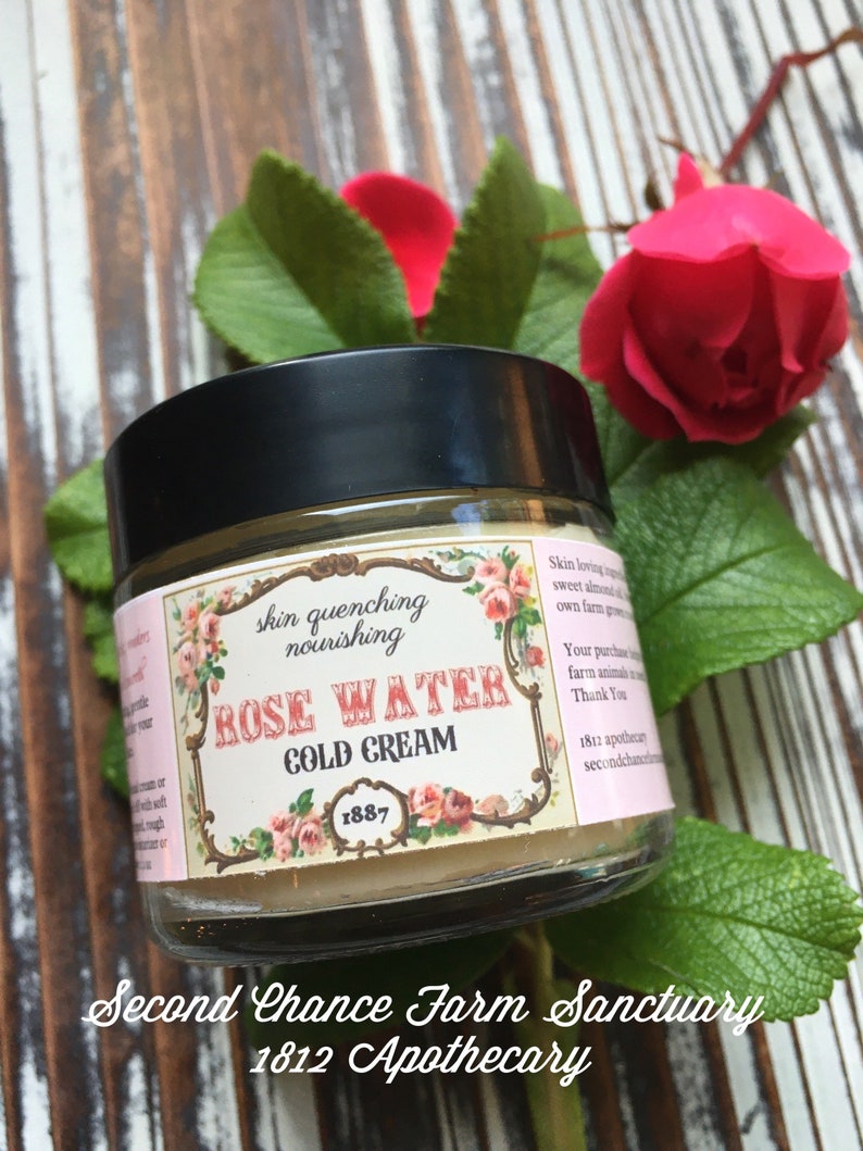 Victorian Makeup Guide & Beauty History