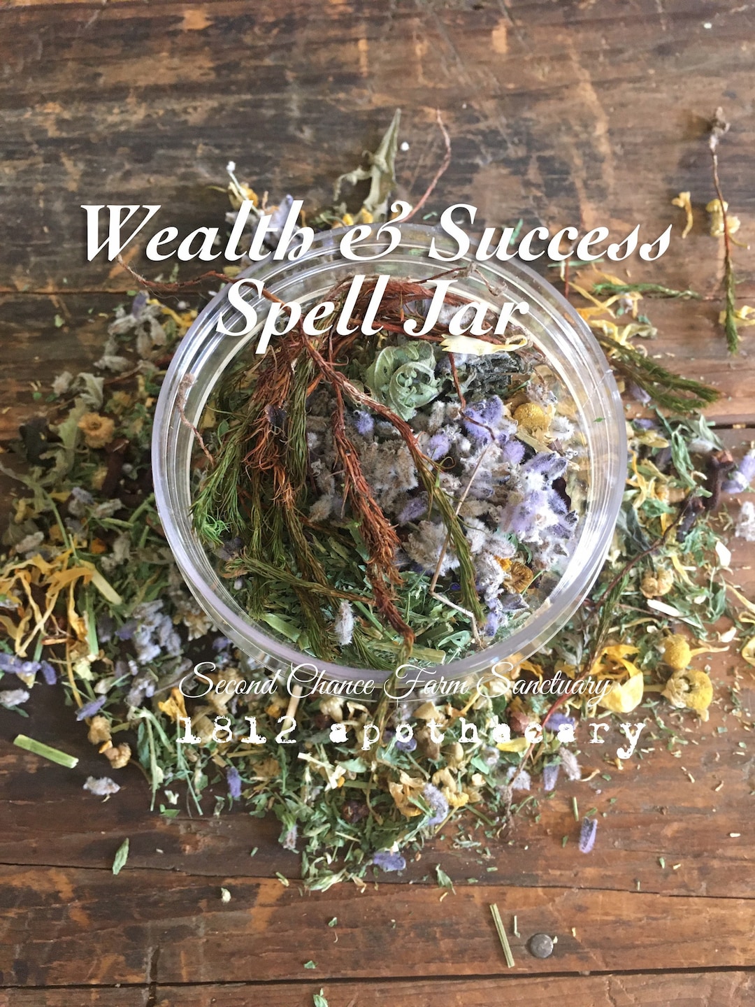 Spell Jar Wealth & Success Wicca Witch Jar Witchcraft Green - Etsy