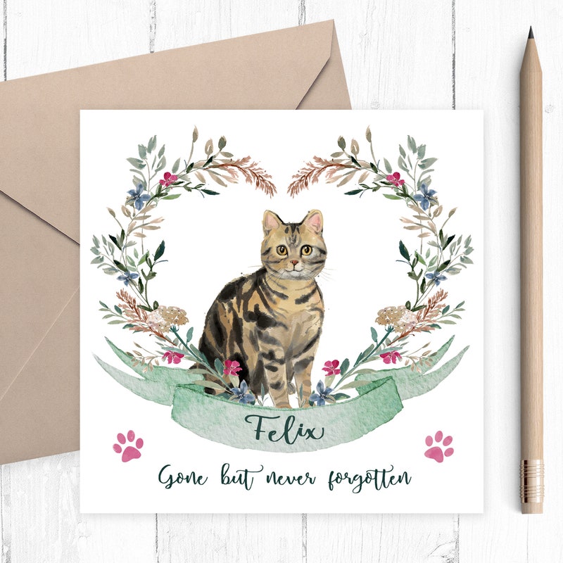Cat Sympathy Cards - Etsy