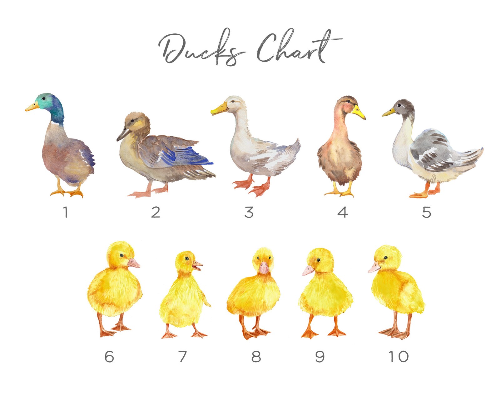 Nannys Flock Duck Print Grandmas Flock Duck Family Print - Etsy