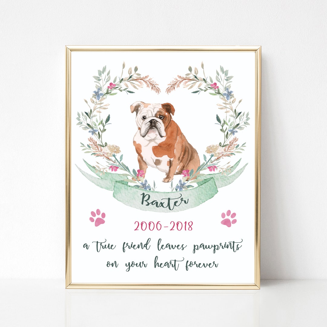 English Bulldog Memorial Dog Memorial Picture Pet Loss Gifts - Etsy