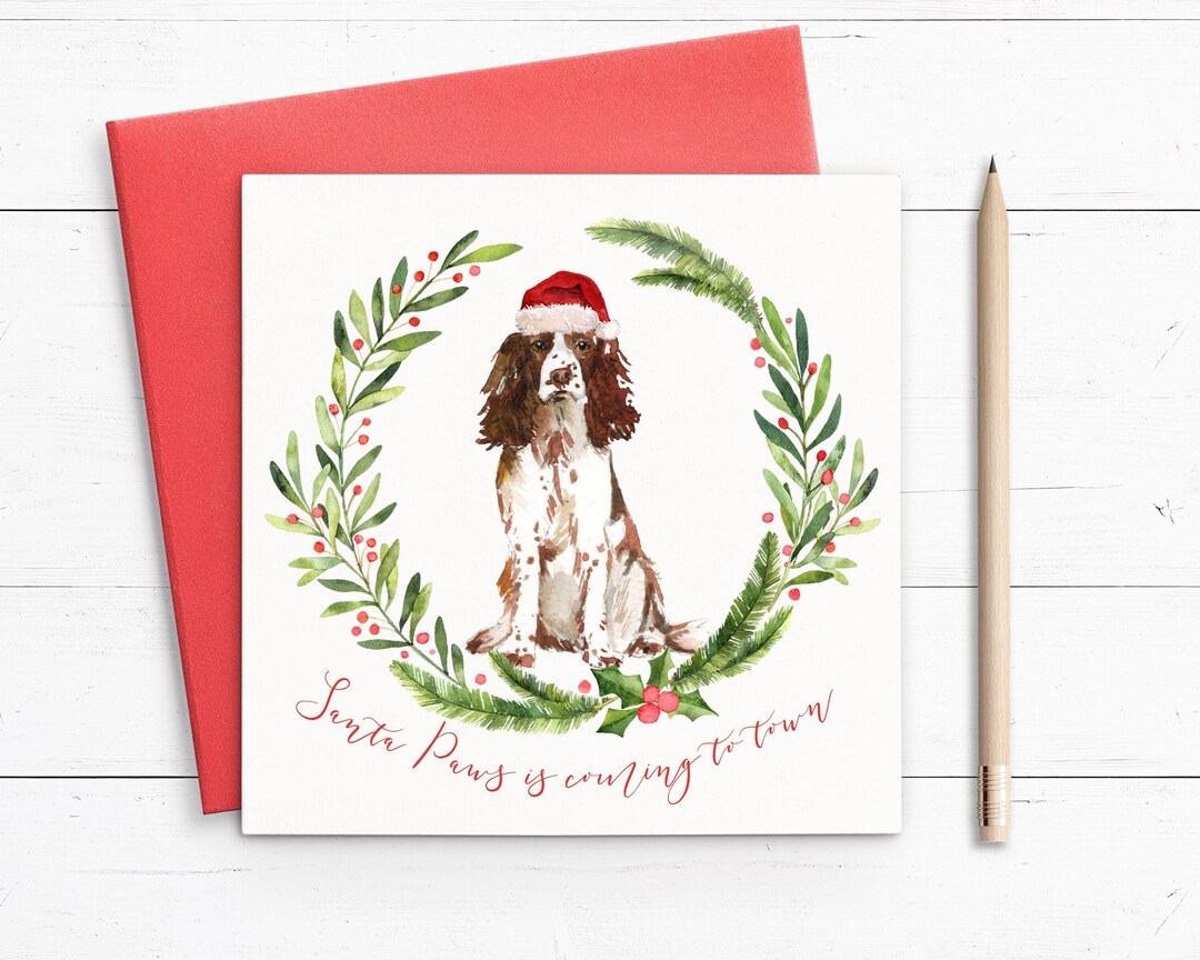 Springer Spaniel Christmas Card Set, Dog Holiday Cards Set, Cute ...