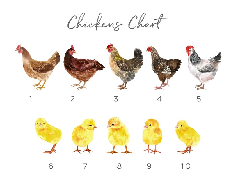 Chicken Family Print Personalised Personalized Family Gifts - Etsy