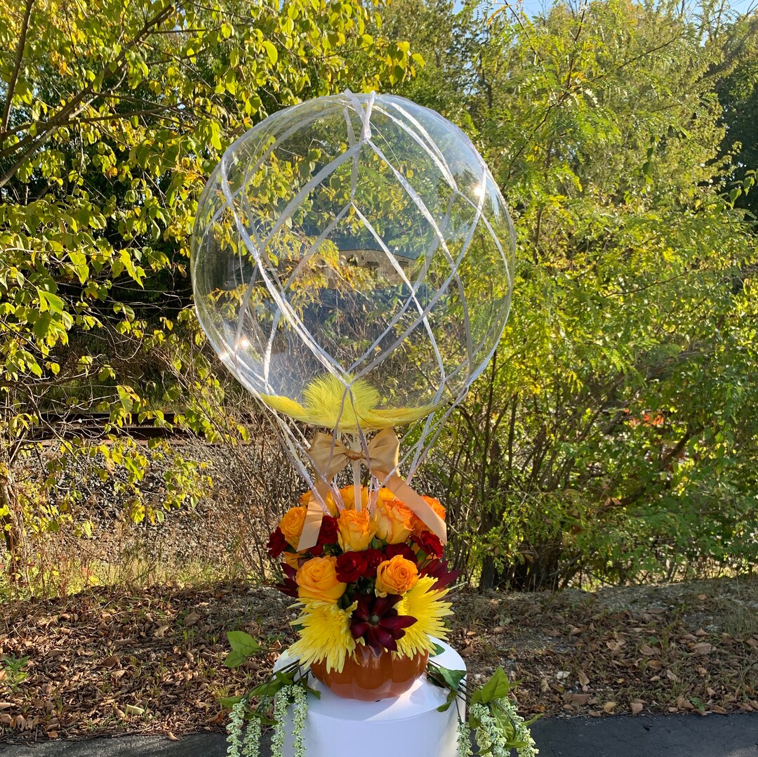 36 Inch Balloon Net, 24” Net, and 16 Inch Balloon Nets for All ...