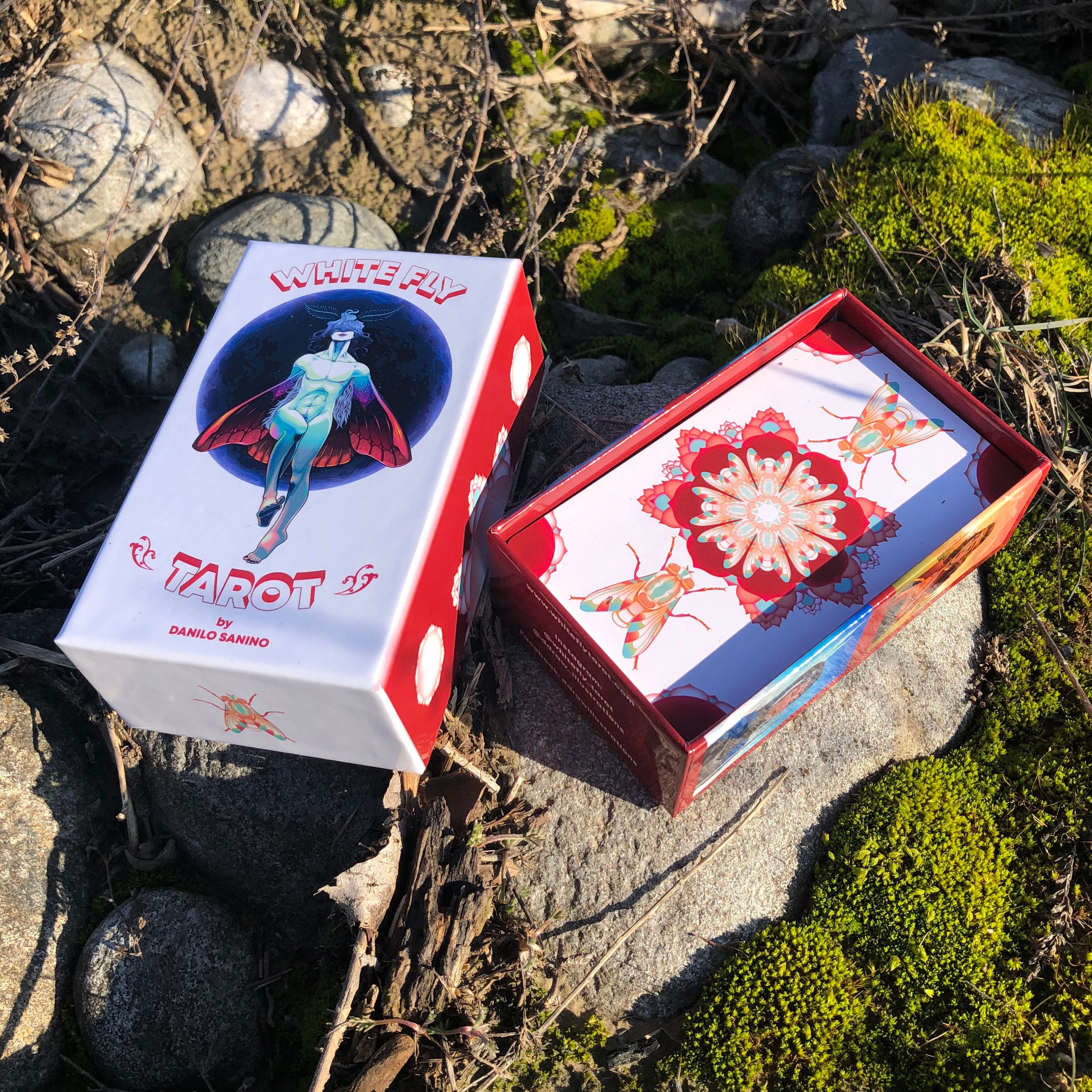 WHITE FLY TAROT | Etsy