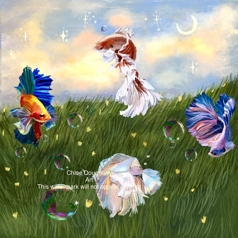 Betta Fish Art - Etsy