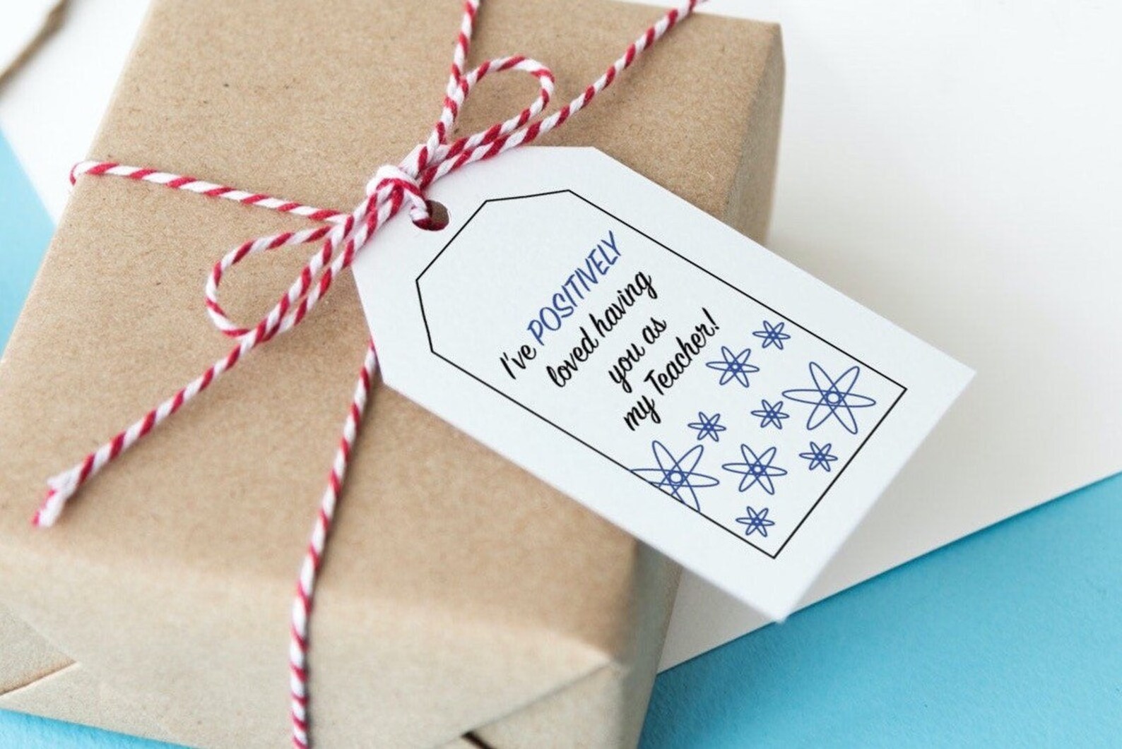 Teacher Appreciation Gift Tags, Printable Punny Thank You Notes (PDF ...