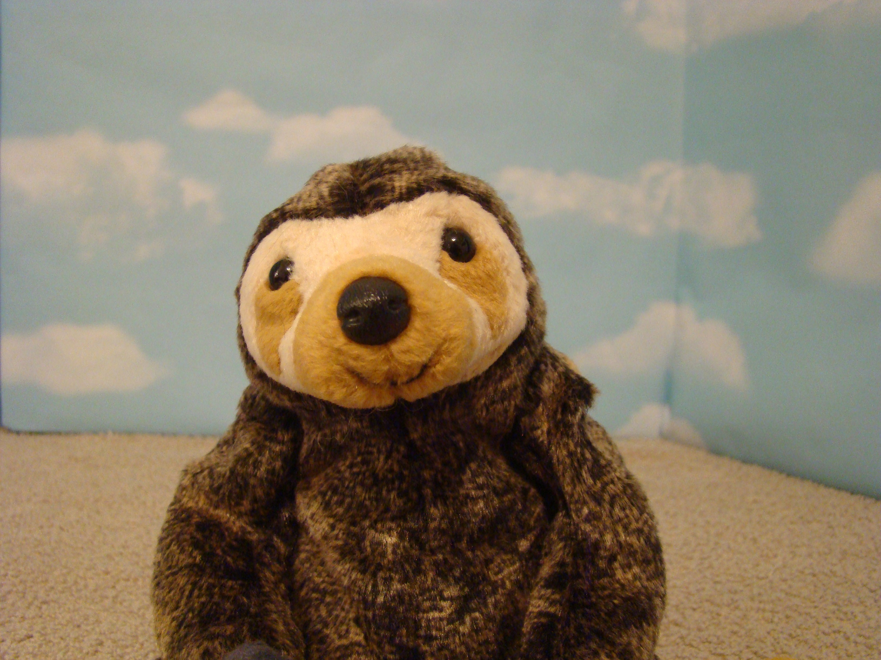 Slow poke the sloth beanie baby - Etsy.de