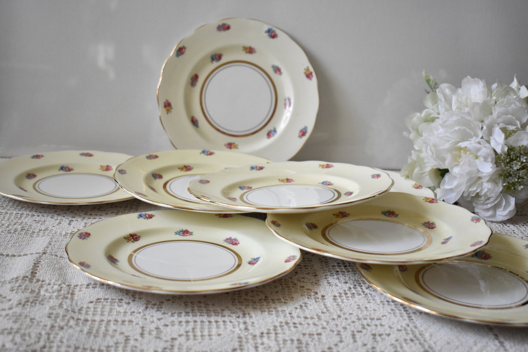 Vintage Colclough Rose Pattern Plate Set of 8, 050622 - Etsy