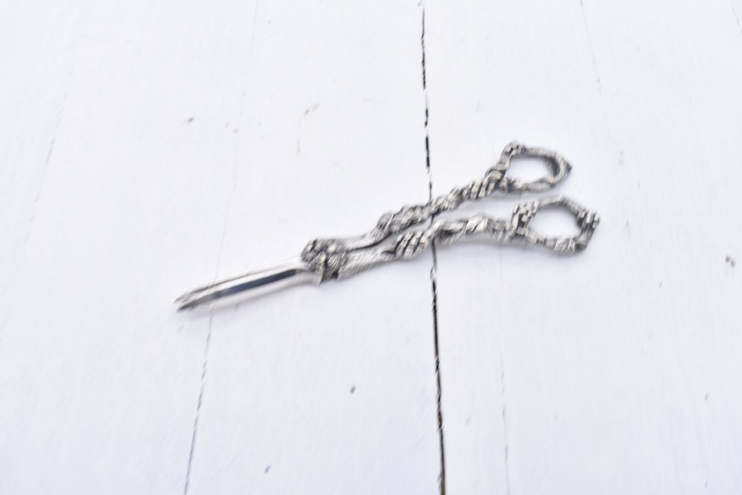 Decorative Silver Plated Grape Scissors - Grapes and Vine Pattern - Etsy