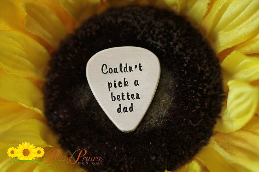 Couldn't Pick a Better Dad Guitar Pick, Metal Pick, Father's Day Gift ...