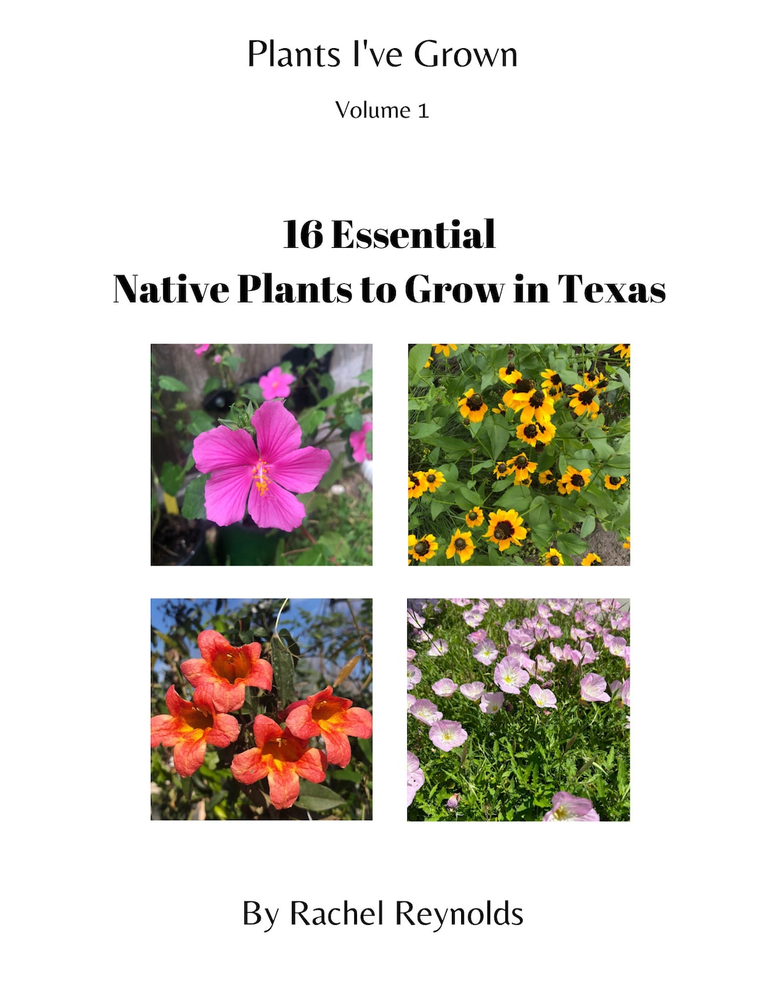 E-BOOK 16 Essential Native Plants to Grow in Texas - Etsy