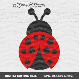 Ladybug SVG Lady Bug Monogram SVG Ladybug beetle svg | Etsy