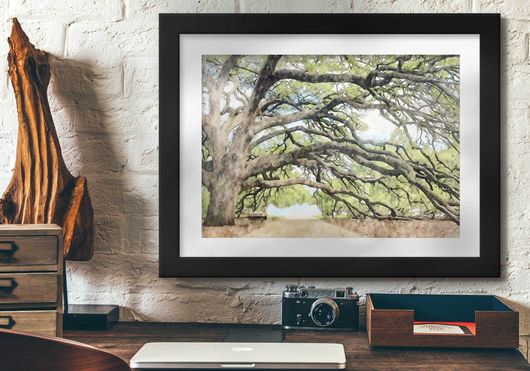 Century Tree Print, Aggie Artwork, Aggie Gift, Aggie Traditions, Texas ...