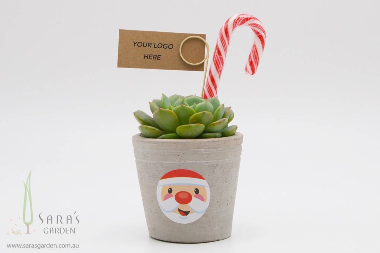Succulent Christmas Gift Corporate Gift For Employees Unique Etsy succulent-christmas-gift-corporate-gift-for-employees-unique-etsy