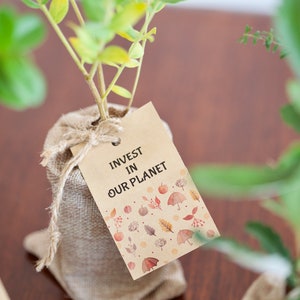 AUSTRALIAN NATIVE PLANTS - Pack of 10 Seedling Corporate Gift ...