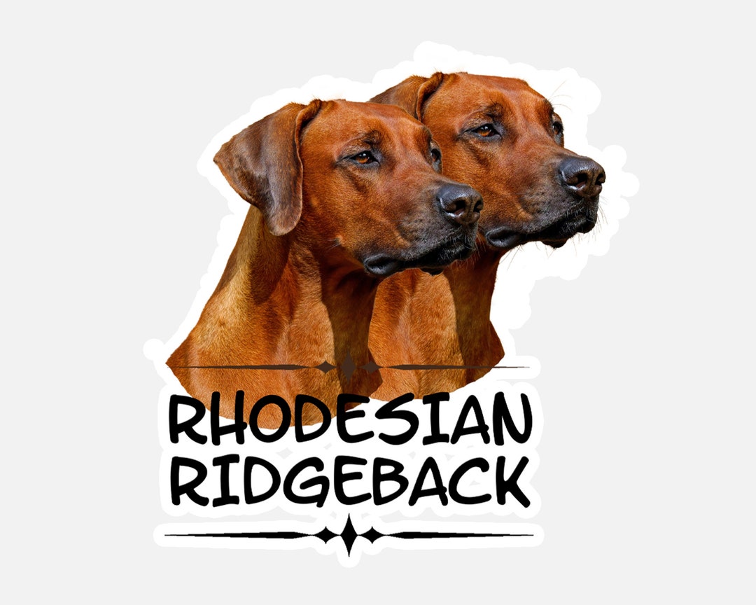 Rhodesian Ridgeback Dog Bumper Sticker Sticker 20 Cm Dog - Etsy