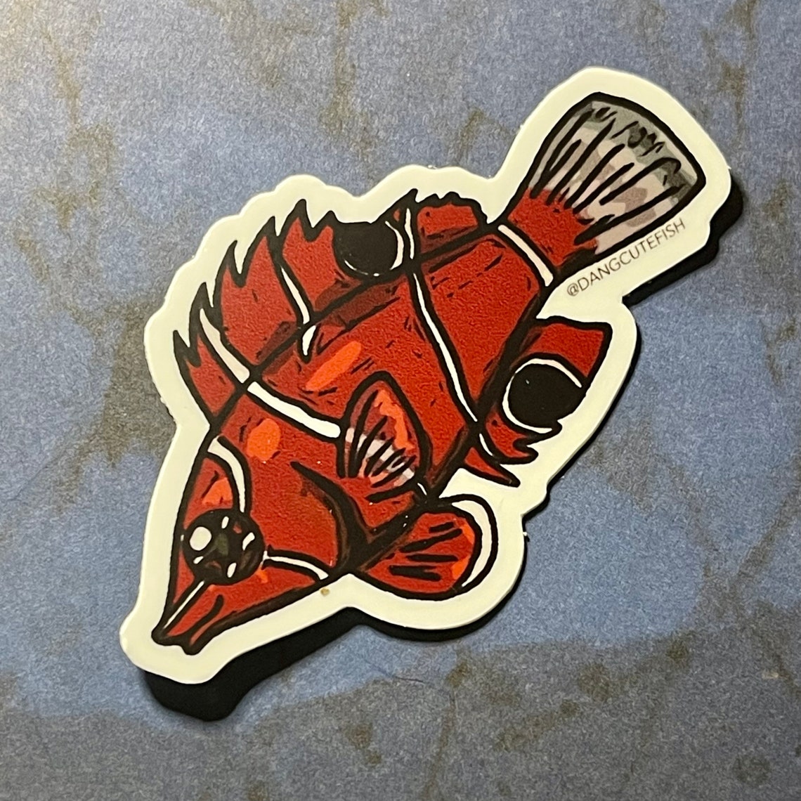 Matte Coated Vinyl Stickers 1 White Banded Possum Wrasse Etsy matte-coated-vinyl-stickers-1-white-banded-possum-wrasse-etsy