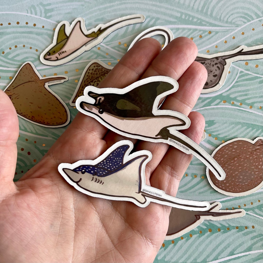 Magnet Set - Stingray Magnets (9) Cownose Ray, Eagle Ray, Butterfly Ray ...