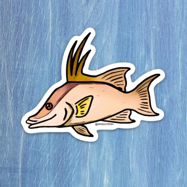 Hogfish - Etsy