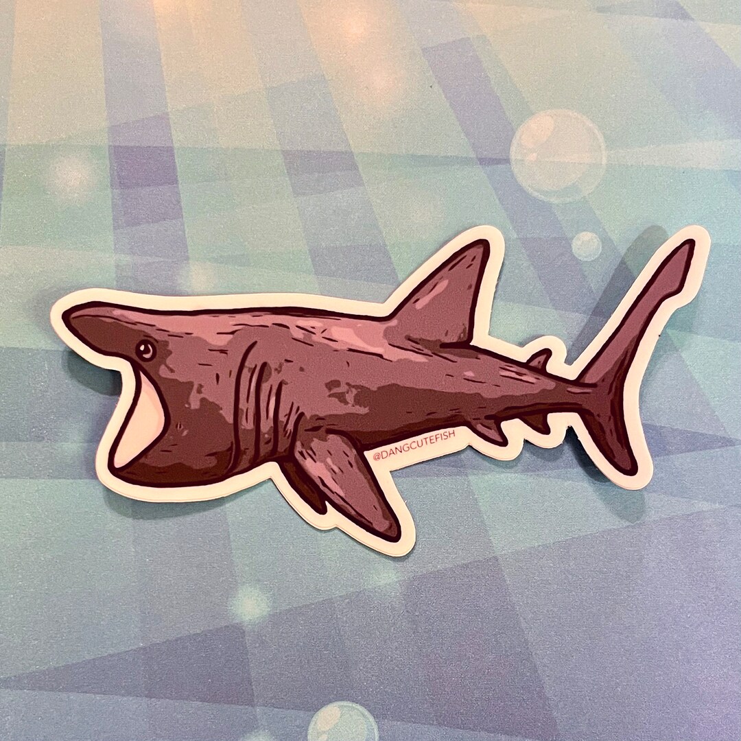 Basking Shark Sticker - Elasmobranch, Shark Gift, Dang Cute Fish - Etsy