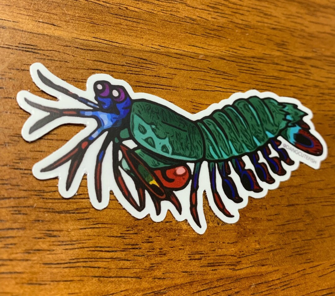 Matte Coated Vinyl Sticker - Peacock Mantis Shrimp Sticker - Etsy