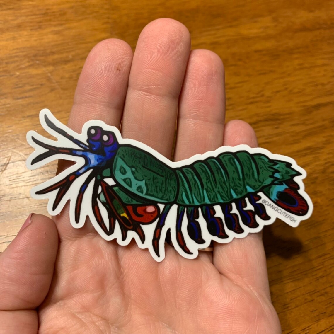 Matte Coated Vinyl Sticker Peacock Mantis Shrimp Sticker - Etsy