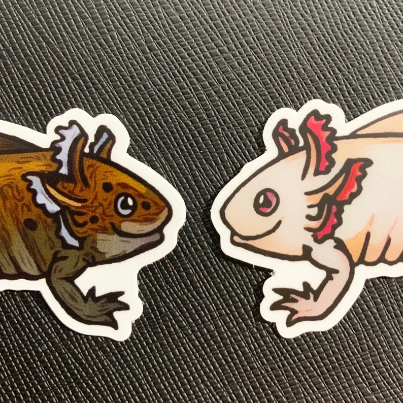 Matte coated vinyl sticker set Two Axolotls | Etsy