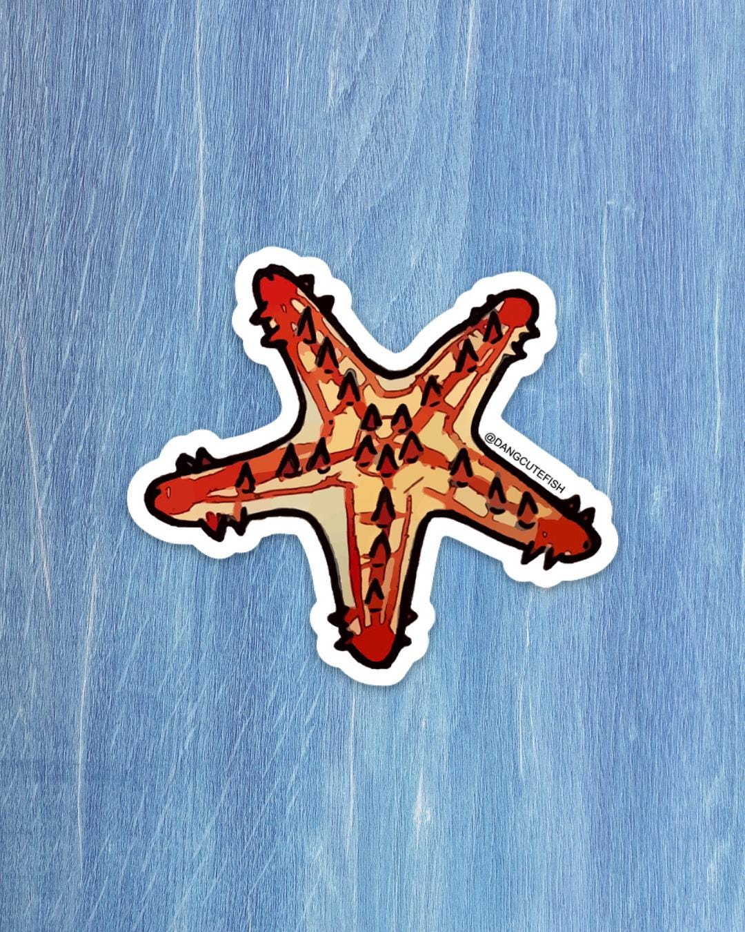 Red Knob Sea Star Sticker, Sea Star Sticker, Starfish Sticker - Etsy