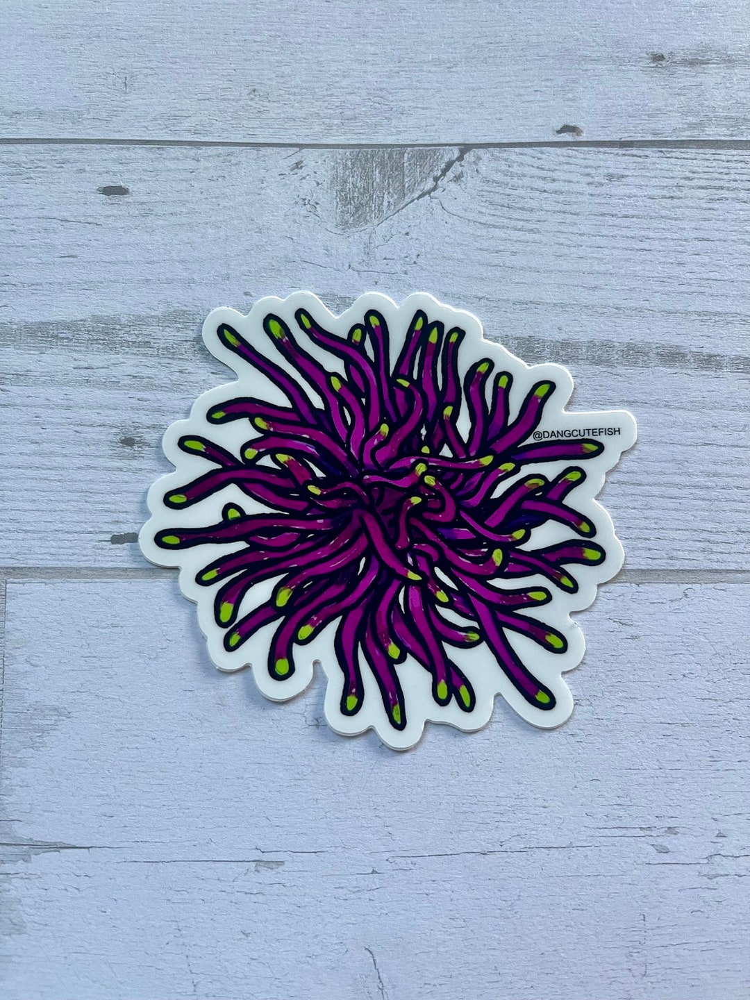 Matte Vinyl Torch Coral Sticker (1) - Aquarist Gift, Aquarist Sticker ...