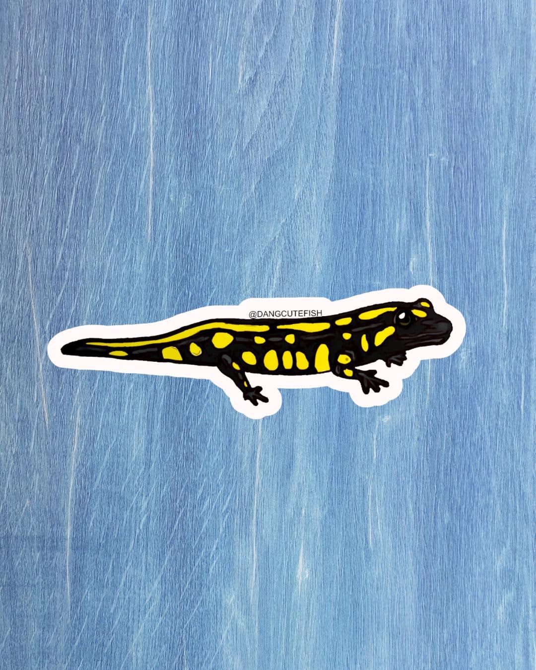 Fire Salamander Sticker - Salamander Gift, Aquarist, Herpetologist ...
