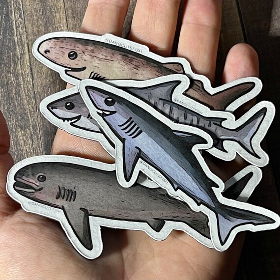 Magnet Set Big Sharks Set 3. Tiger Shark Megamouth Shark | Etsy