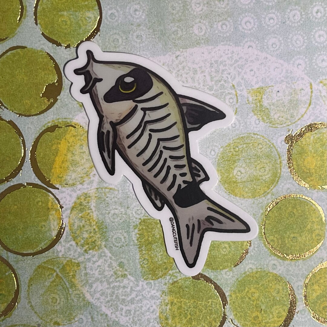 Matte Coated Vinyl Stickers (1) - Panda Corydoras Sticker, Panda Cory ...